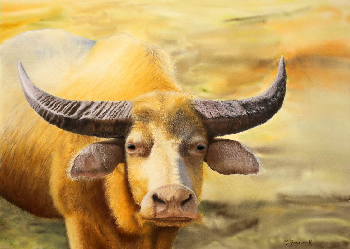 Gallery - Suzanne Frederick Art