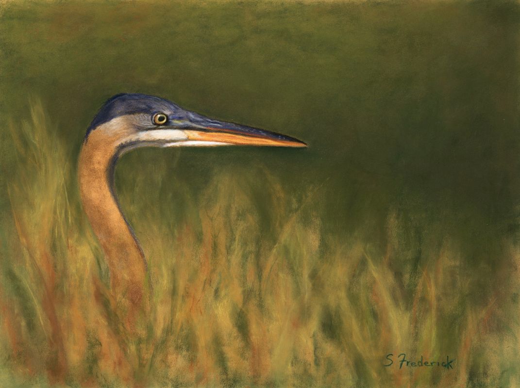 Gallery - Suzanne Frederick Art