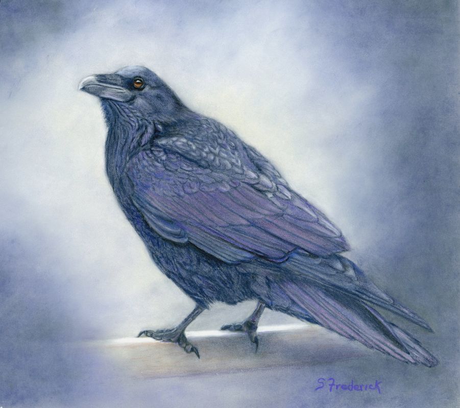 Gallery - Suzanne Frederick Art