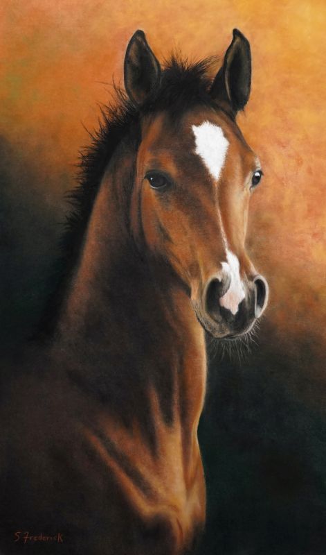 Gallery - Suzanne Frederick Art