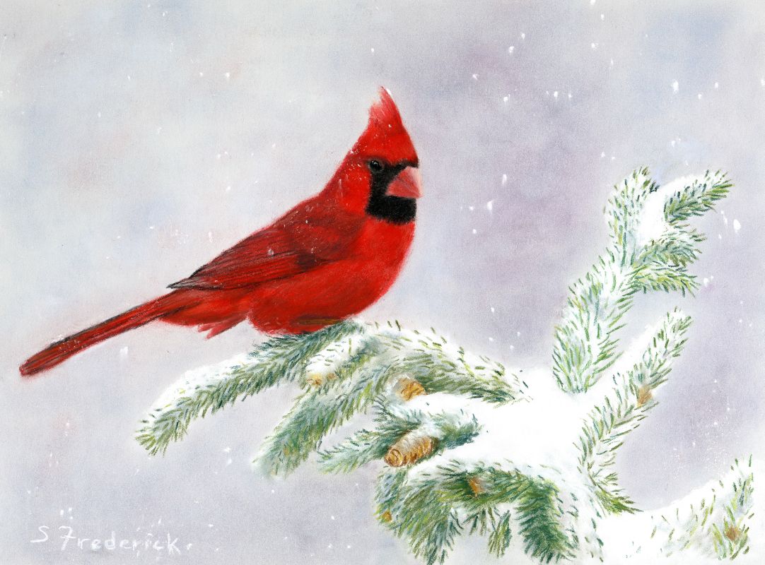 Gallery - Suzanne Frederick Art